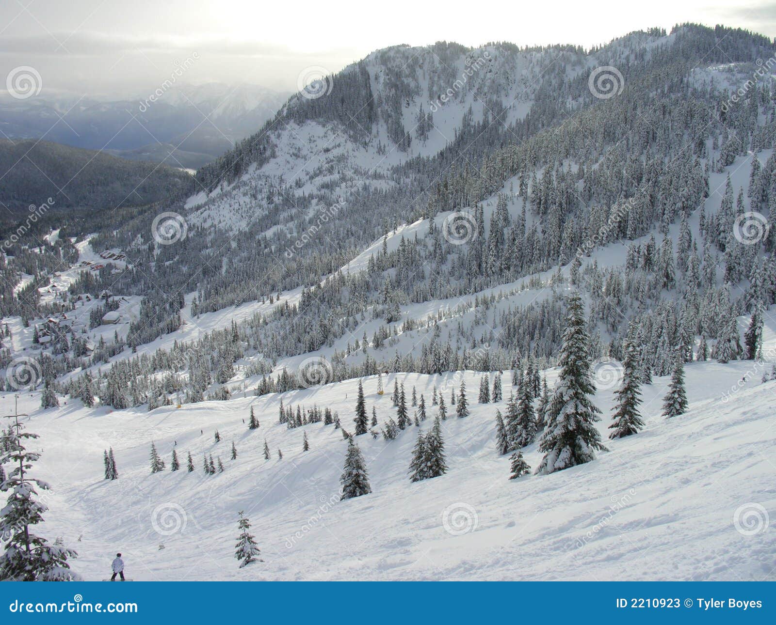 Big White Picture. Image: 2210923