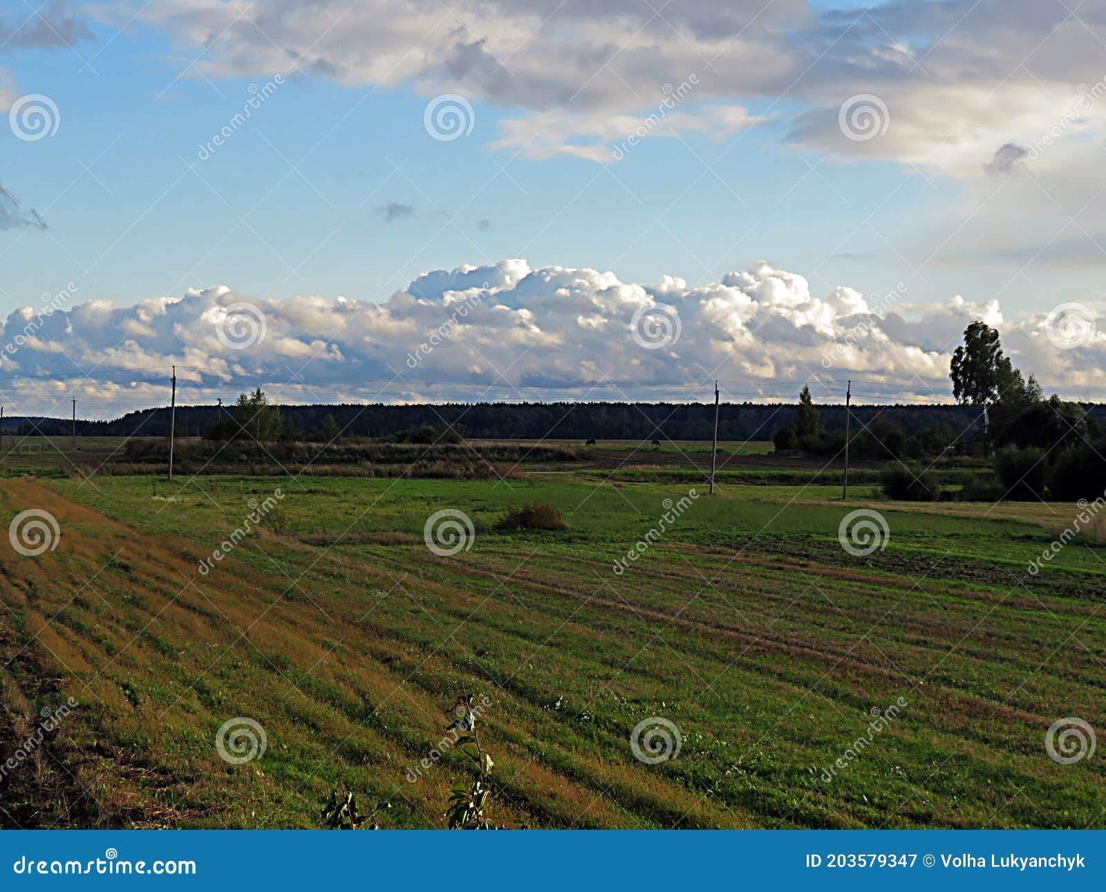 Big White Clouds Over the Field Stock Image - Image of blue, country ...