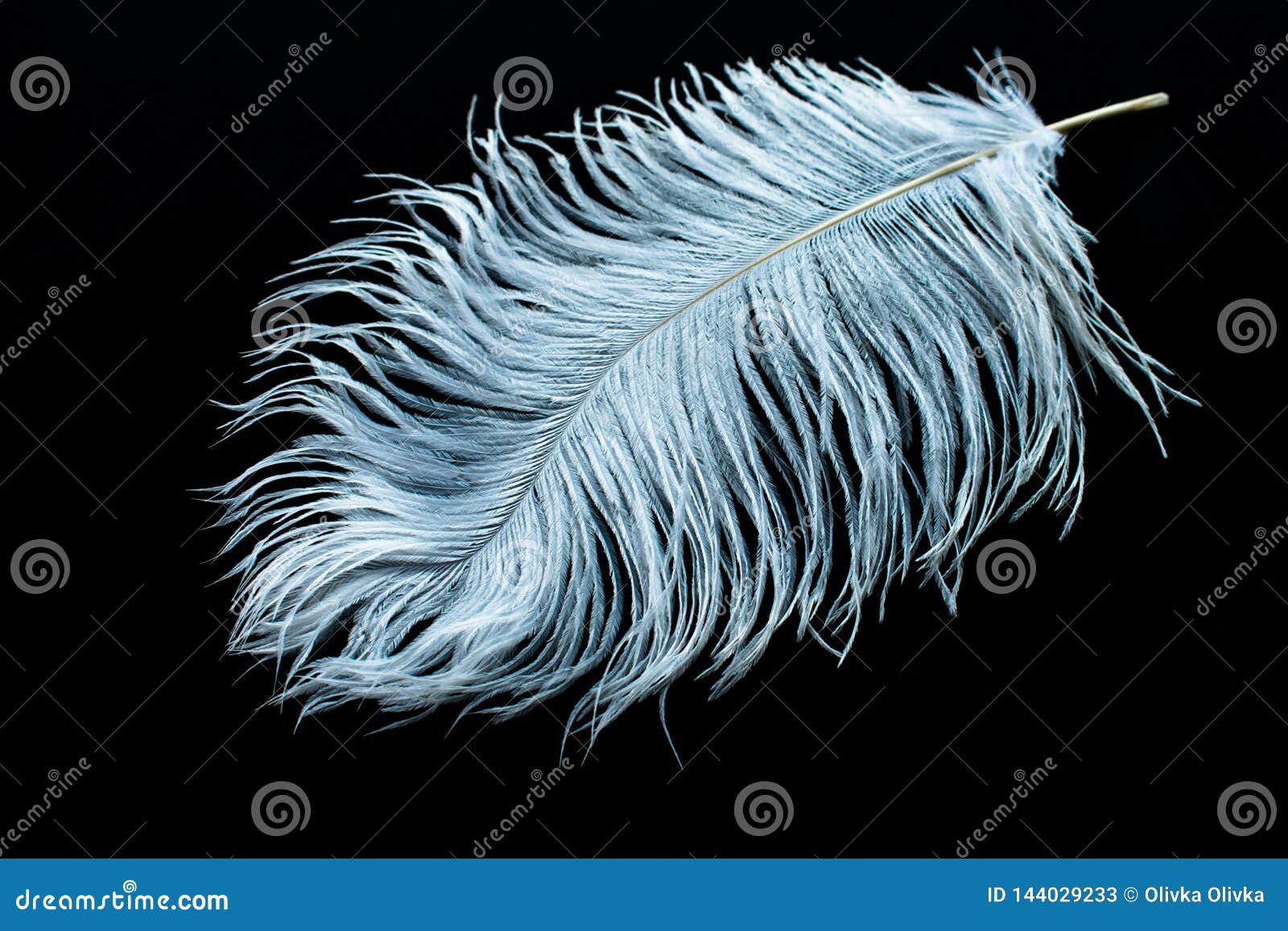 Big White Feather on Black Background Stock Image - Image of fiesta ...