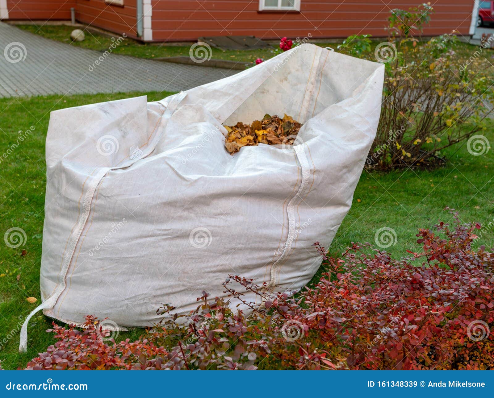 Big White Garbage Bags for Tree Leaves Stock Image - Image of house ...