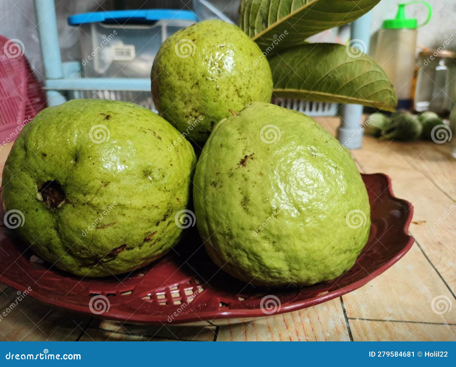 Big white guava and fresh stock image. Image of exotic - 279584681