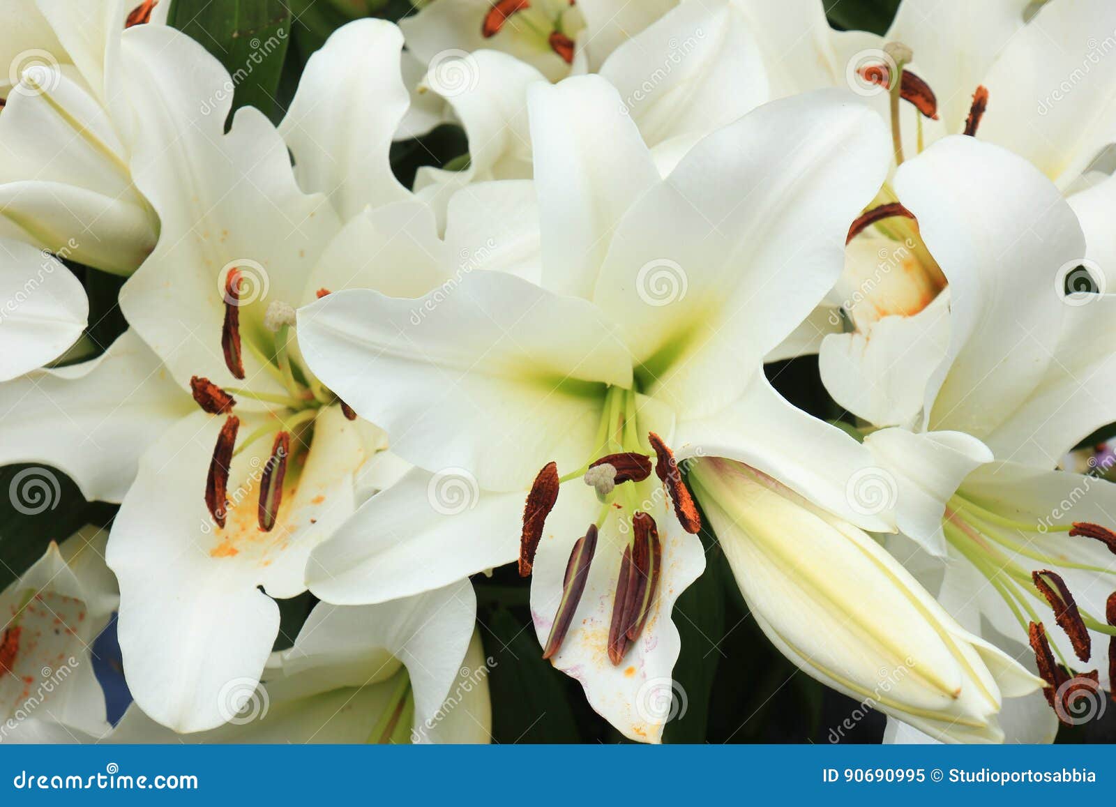 Big white lilies stock image. Image of decorative, wedding - 90690995