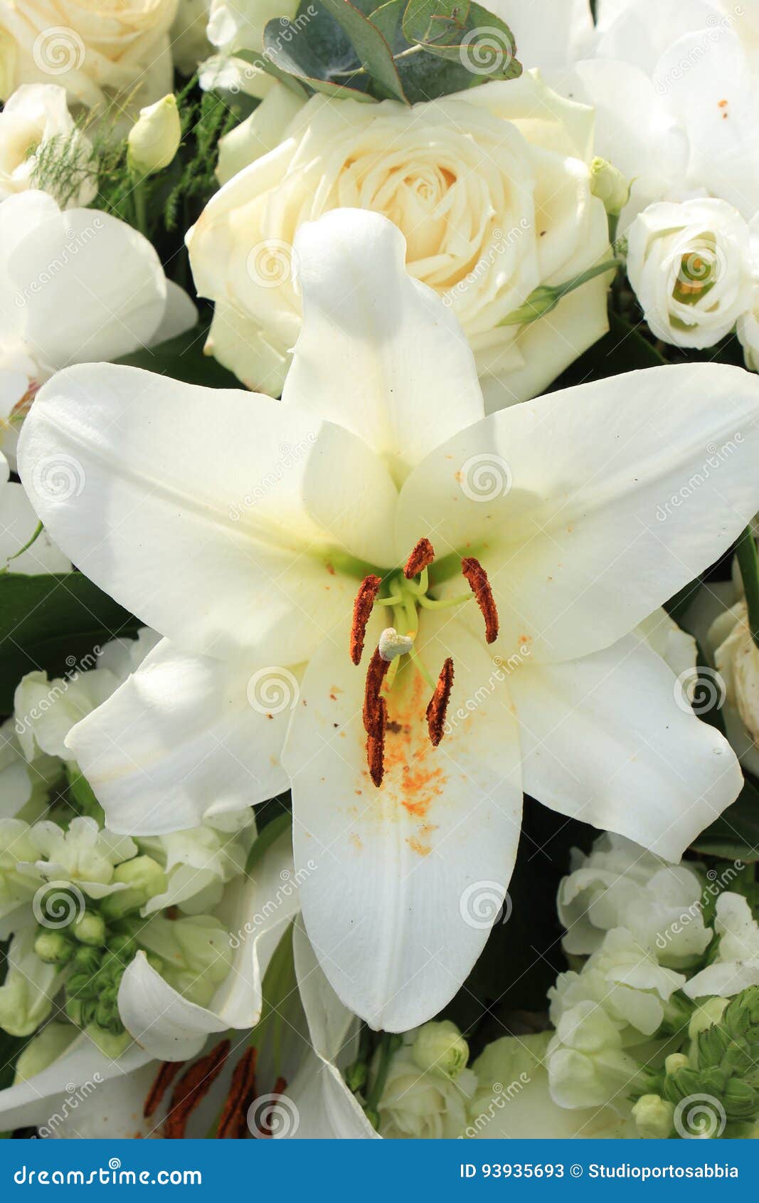 Big white lilies stock image. Image of lily, petal, white - 93935693