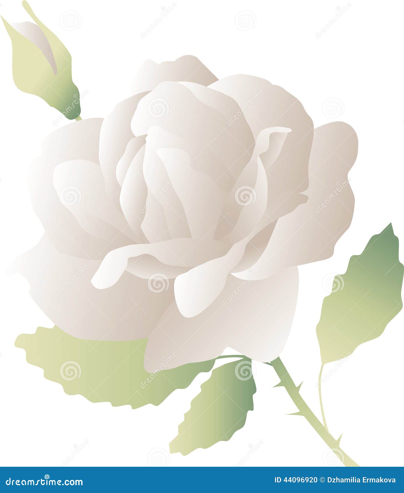 Big white rose stock vector. Illustration of thorn, birthday - 44096920