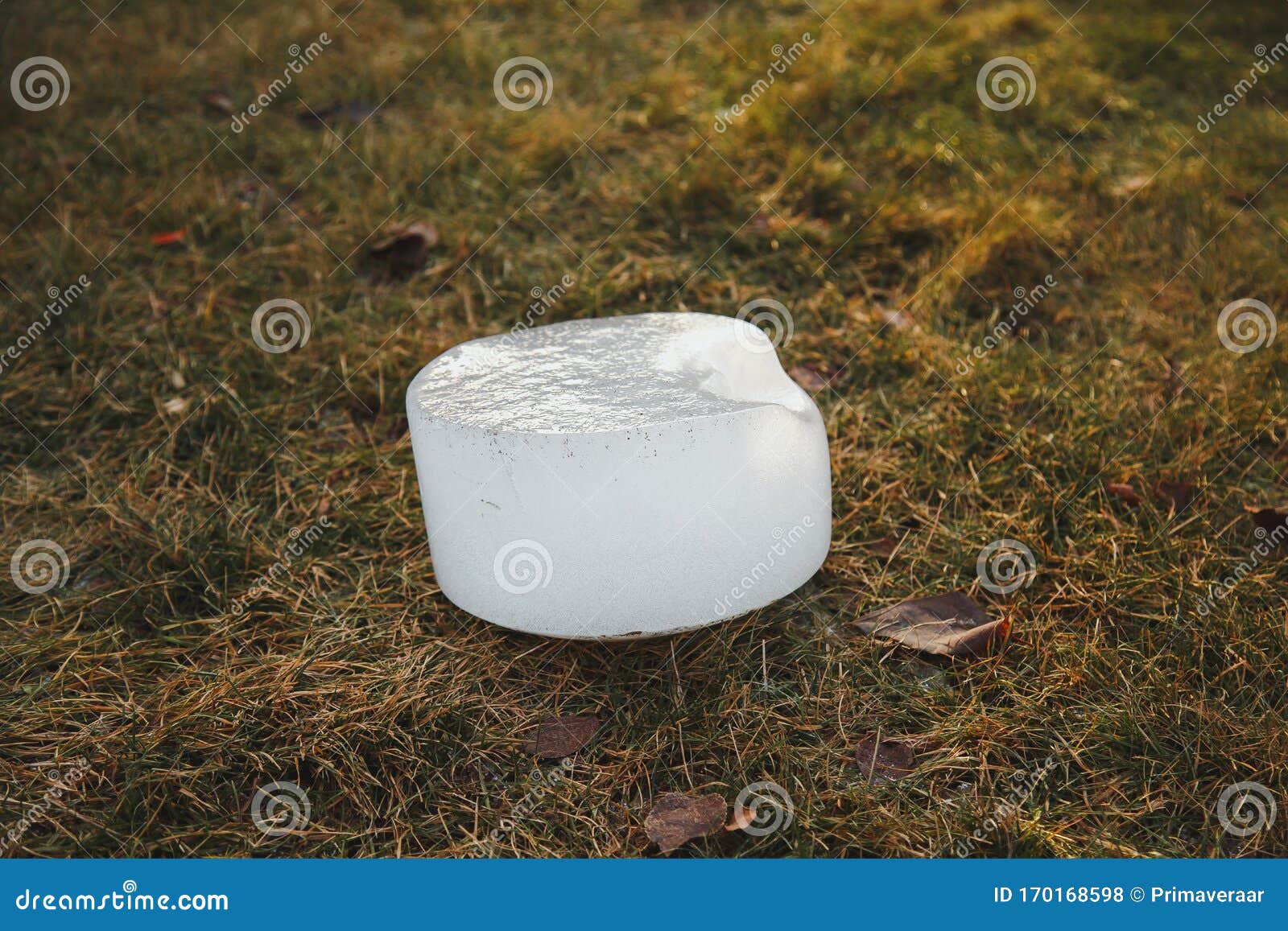 Big White Round Piece of Ice Hail on a Green Lawn Stock Photo - Image ...