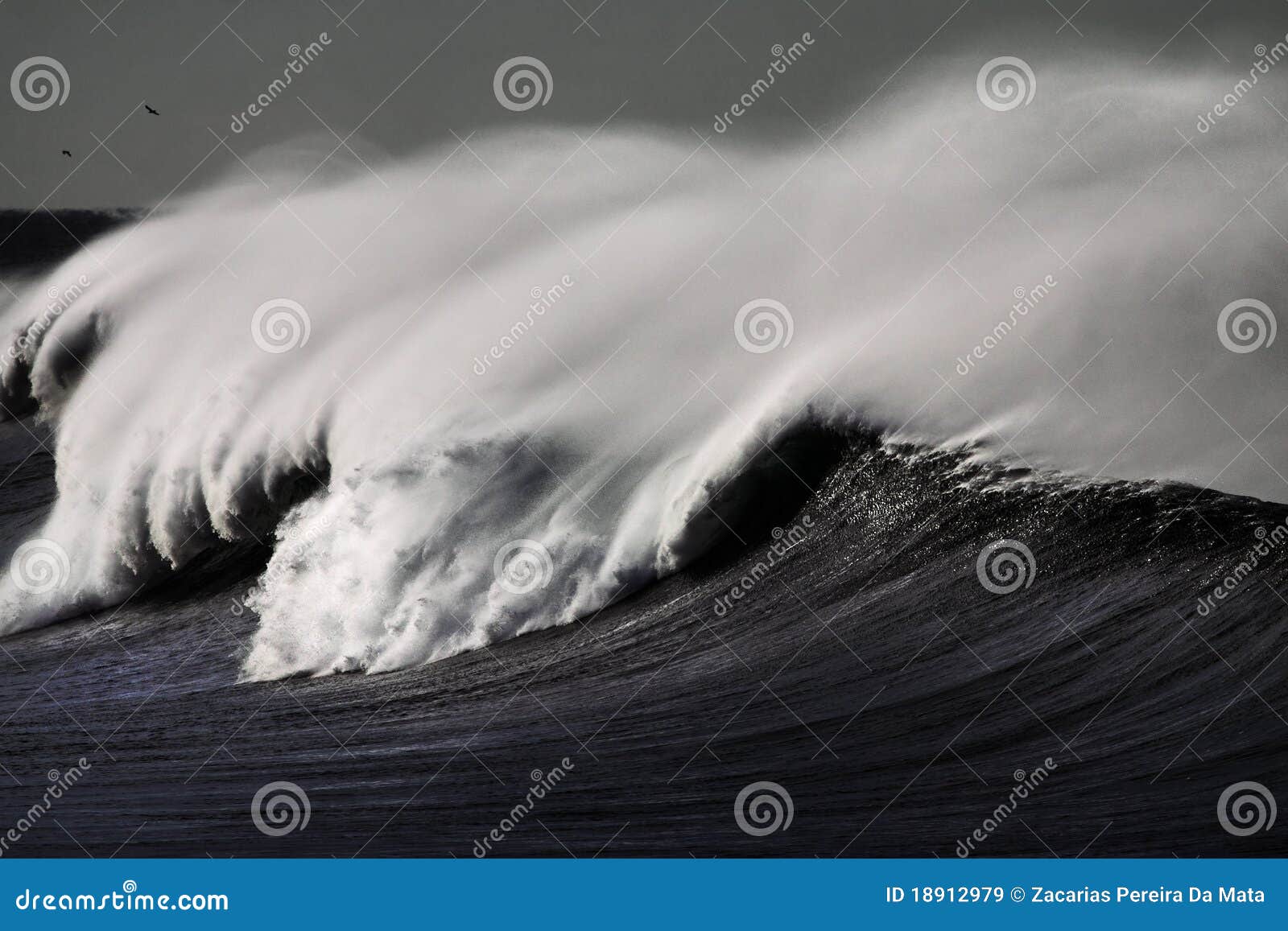 Big white wave stock image. Image of breaking, nature - 18912979