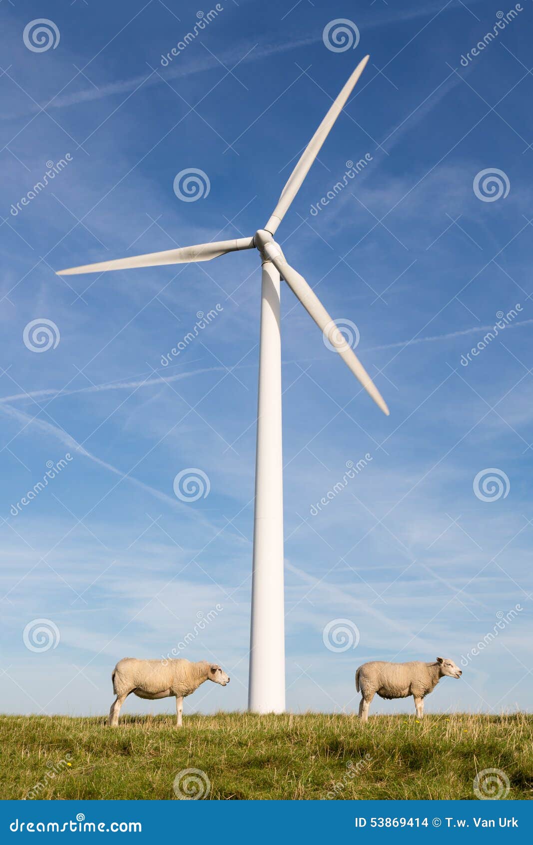 Big Wind Turbine with Two Sheep in Front Stock Photo - Image of nature ...