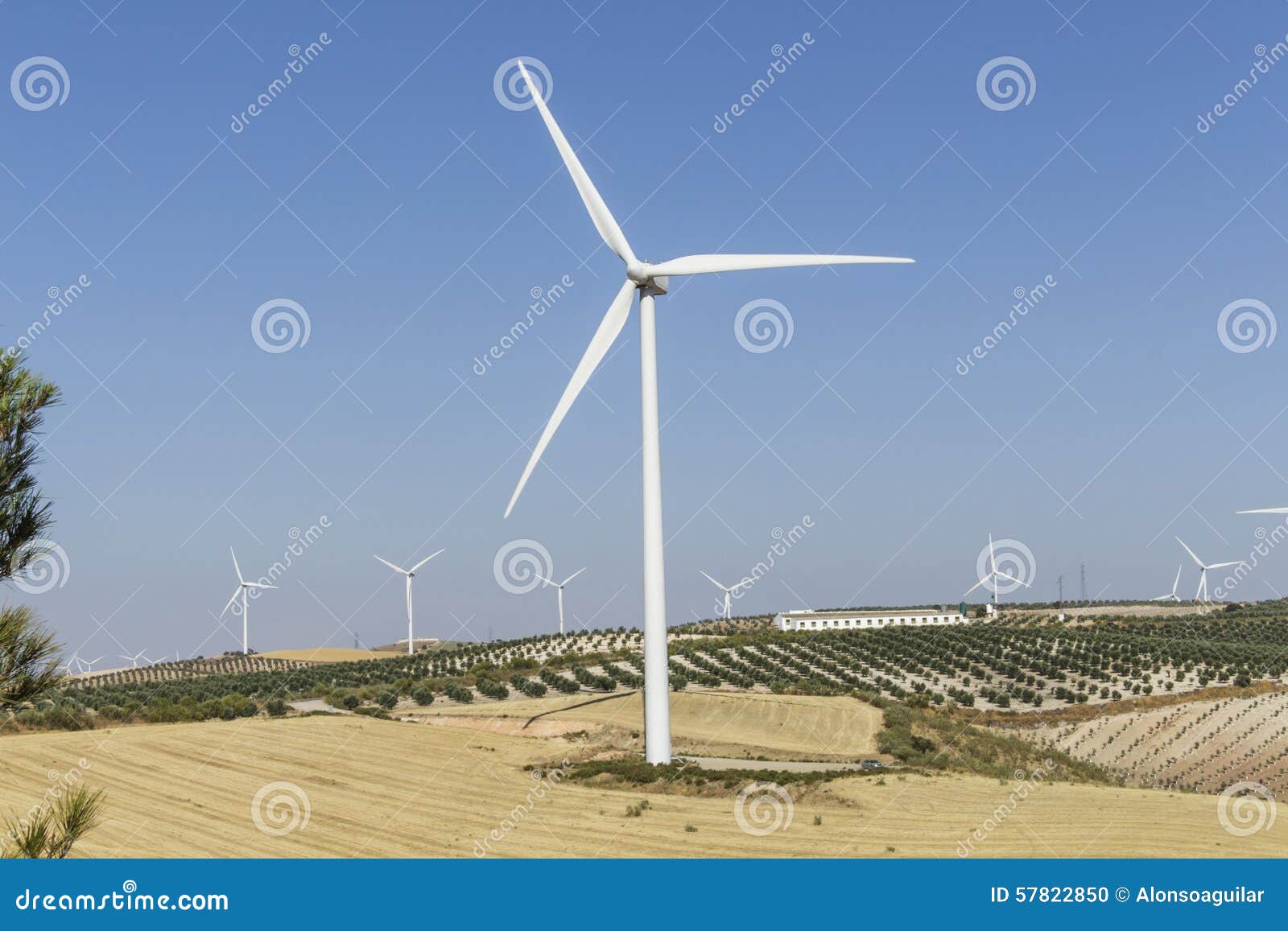 Big Windmill In The Foreground Stock Photo - Image of ecology, groves ...