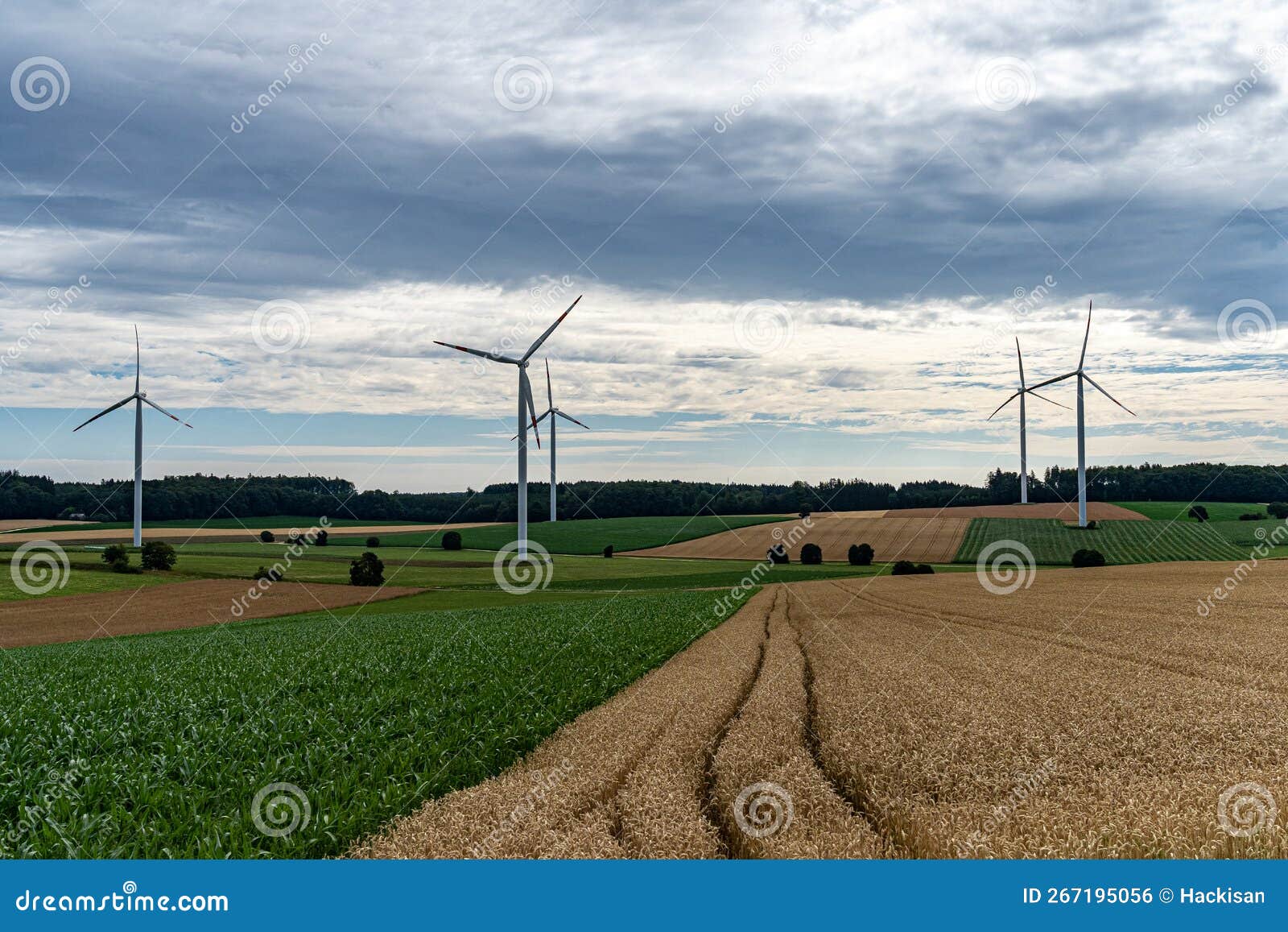 Big Windmills for Wind Power on the Field Stock Photo - Image of forest ...