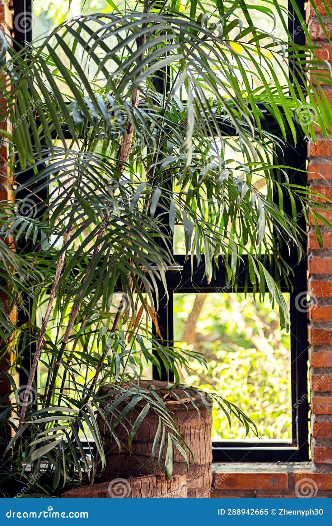 Big Window with Greenery. Fragment of Rustic House Stock Image - Image ...