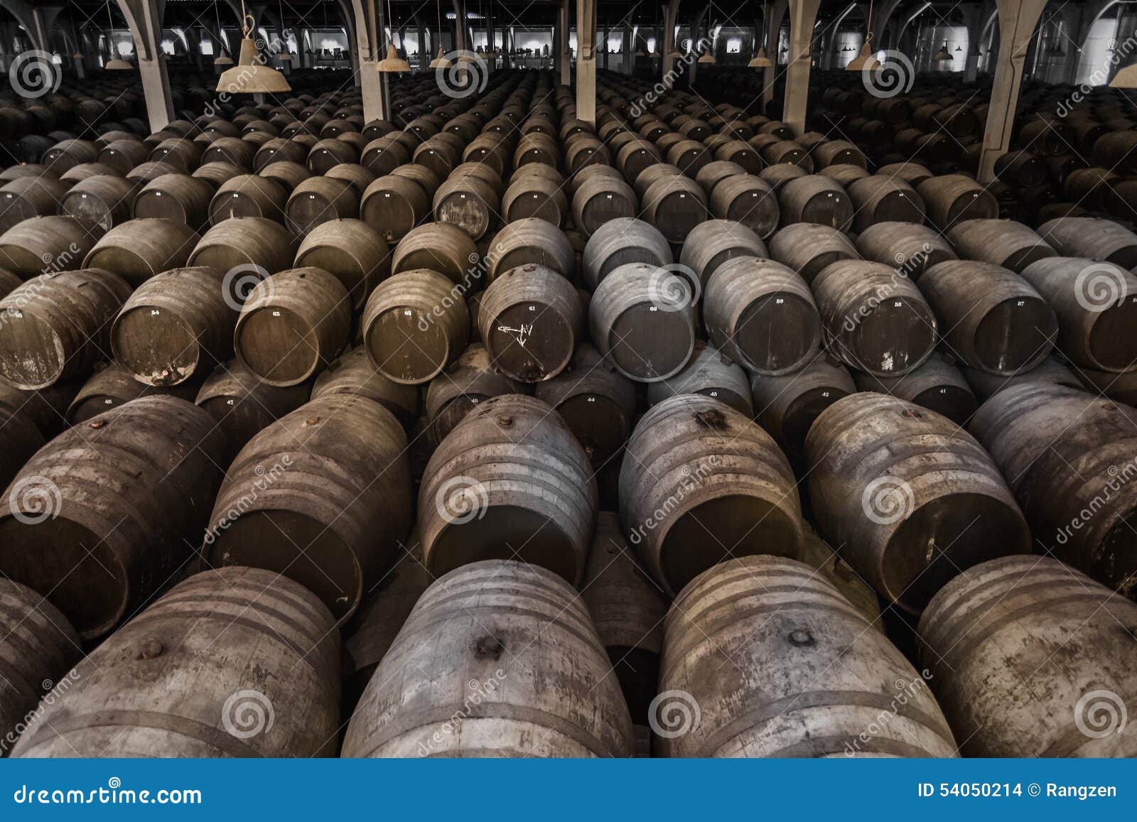 Big wine cellar stock photo. Image of basement, complexity - 54050214