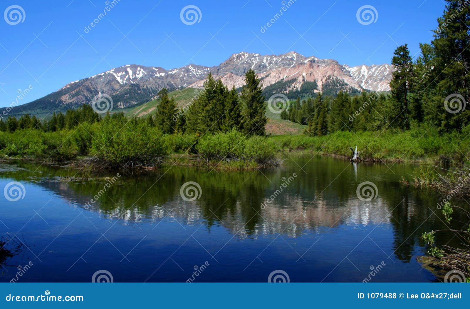 Big Wood River stock photo. Image of clear, forest, scenic - 1079488
