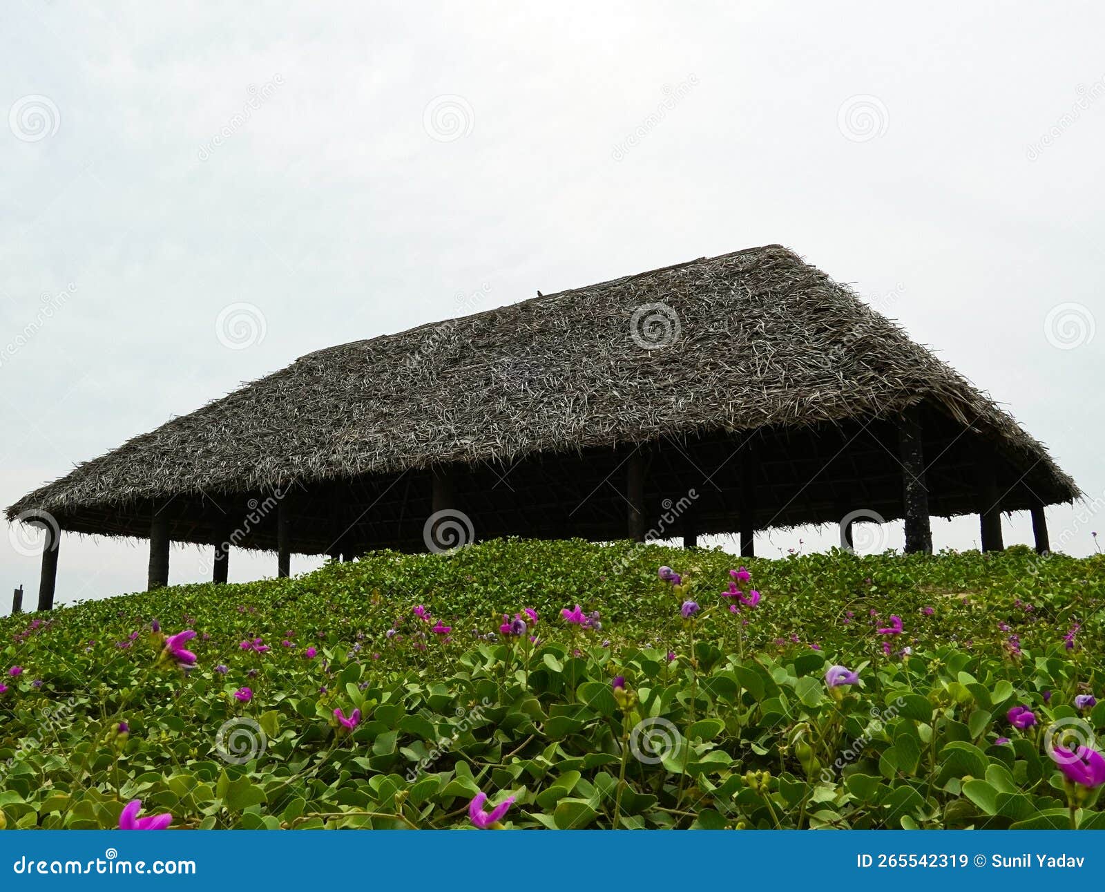 A big wooden hut stock image. Image of tourism, rest - 265542319