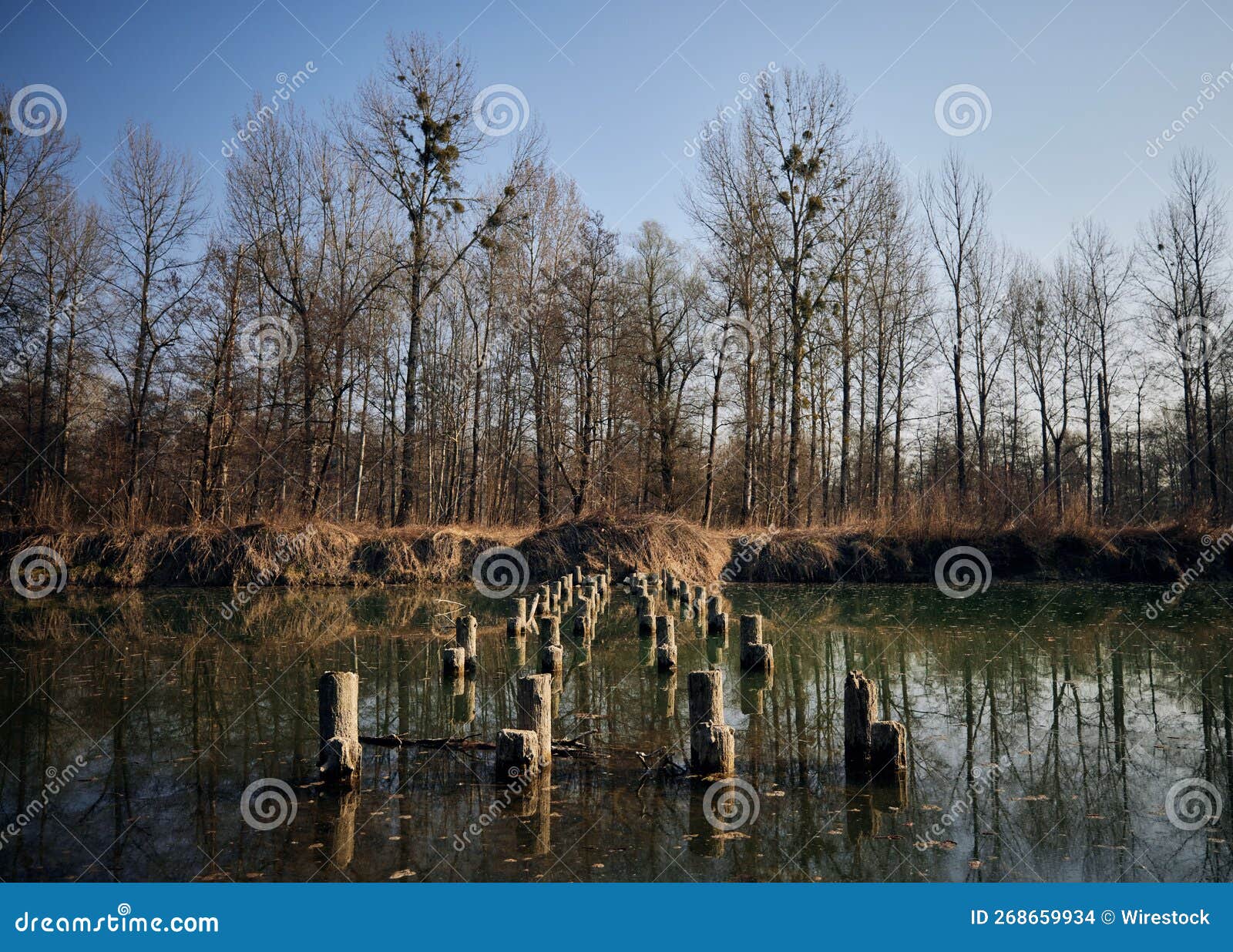 Big Wooden Pillars in the River of Isar in Bavaria, Germany, with ...