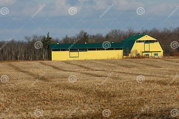 Big Yellow Barn stock image. Image of barns, farm, gate - 17154435