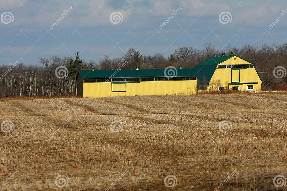 Big Yellow Barn stock image. Image of barns, farm, gate - 17154435