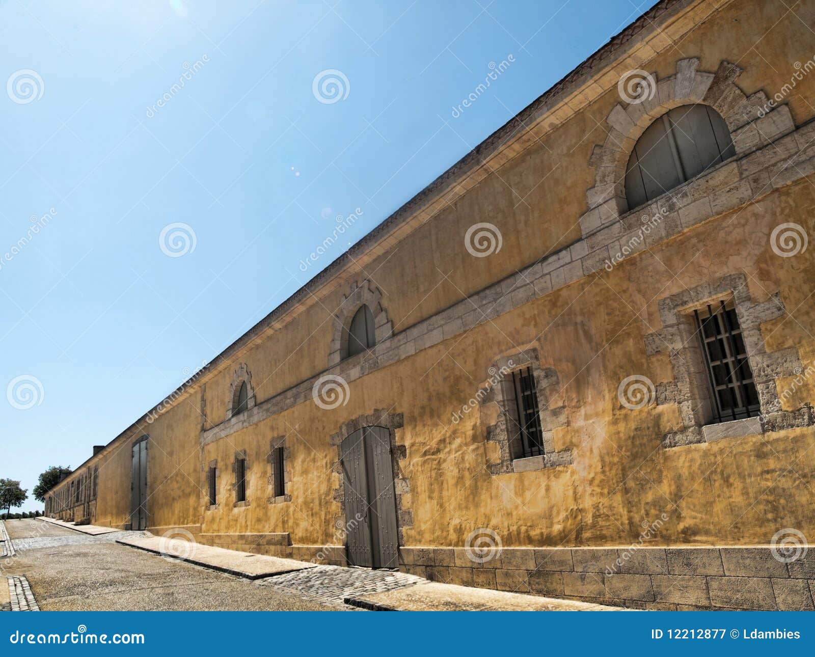 Discover the Big Yellow House: An Architectural Masterpiece | Paraiso ...