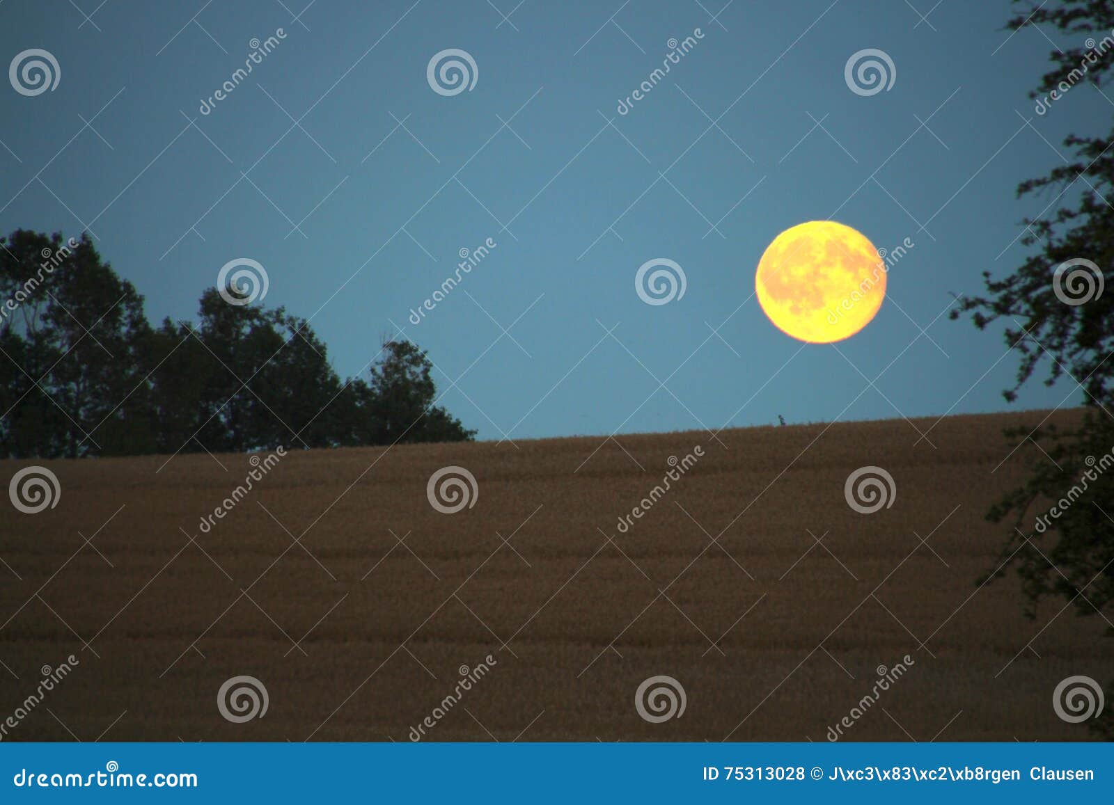 Big yellow moon stock photo. Image of romantic, moon - 75313028