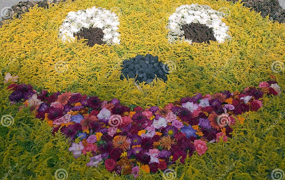 Big yellow smile face stock photo. Image of flower, spring - 20736118