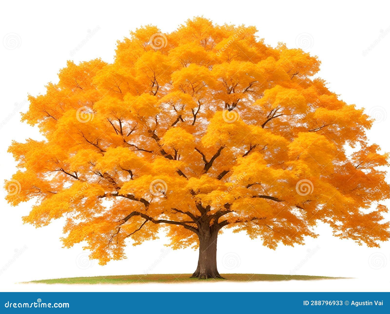A Big Yellow Tree on a White Background Stock Illustration ...