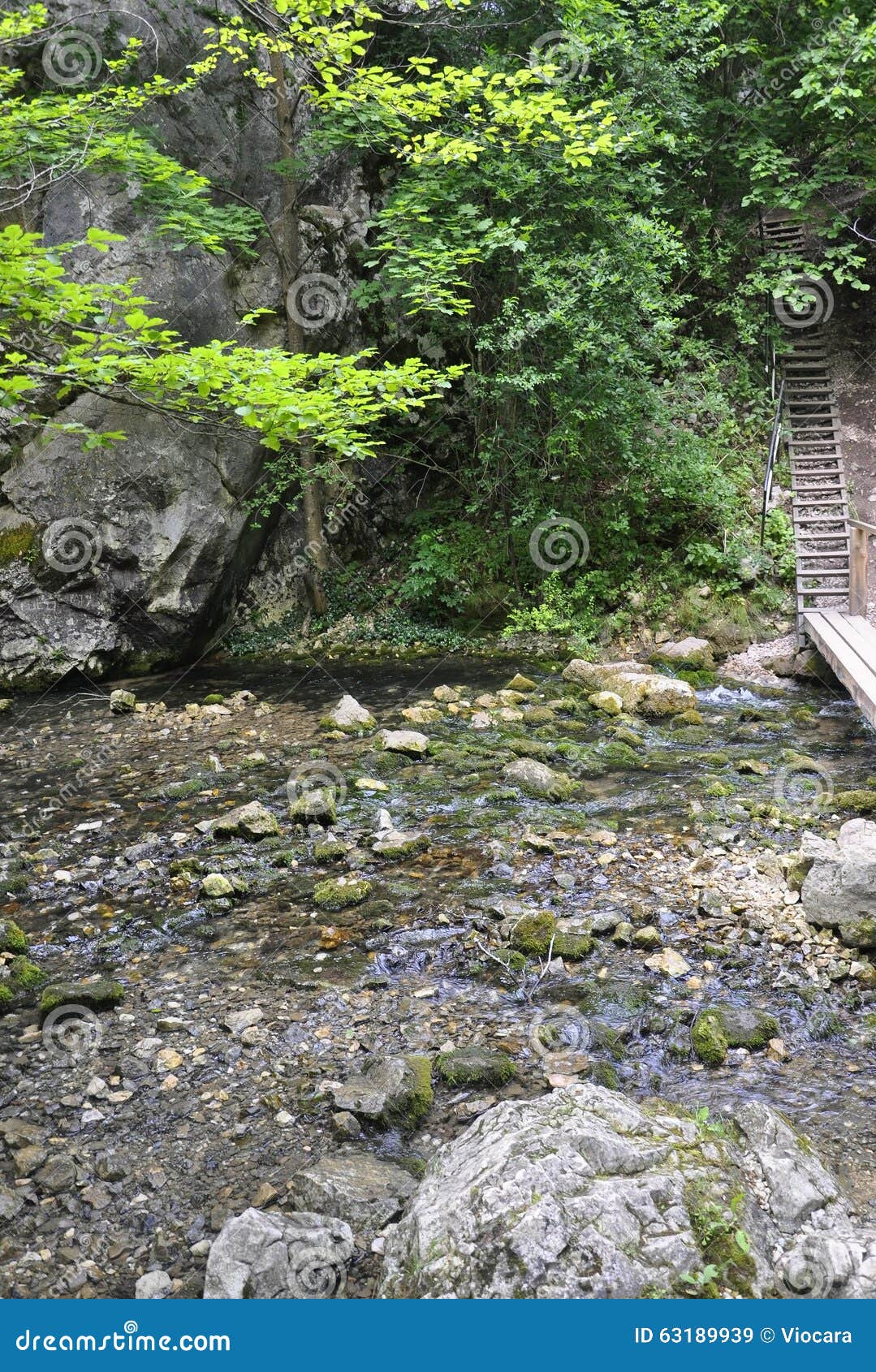 Bigar Waterfall Origin from Caras-Severin in Romania Stock Image ...