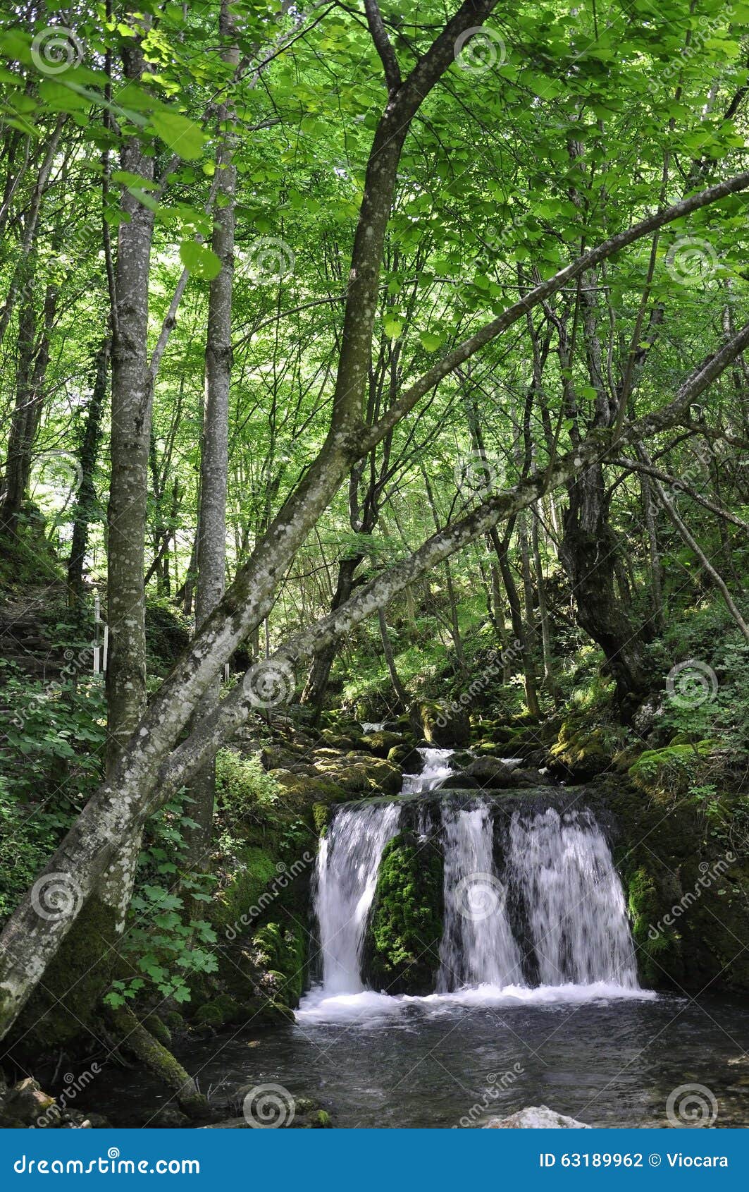 Bigar Waterfall at 45 Parallel from Caras-Severin in Romania Stock ...