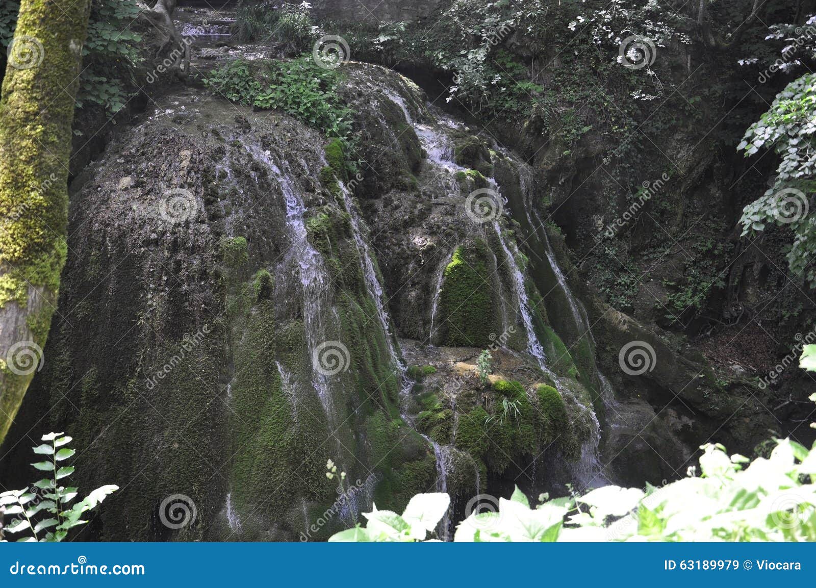 Bigar Waterfall at 45 Parallel from Caras-Severin in Romania Stock ...