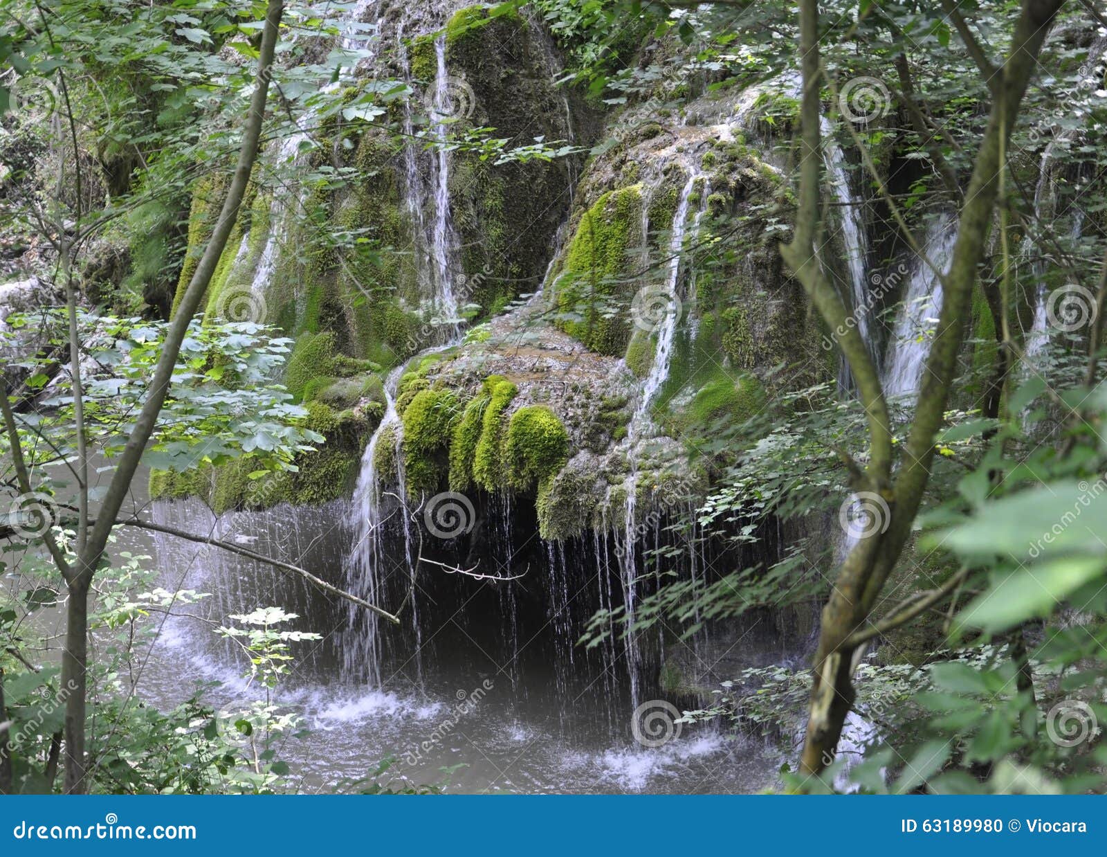 Bigar Waterfall at 45 Parallel from Caras-Severin in Romania Stock ...