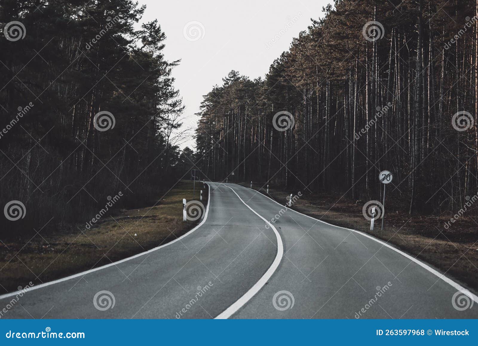 The biggest cold empty stock photo. Image of autumn - 263597968
