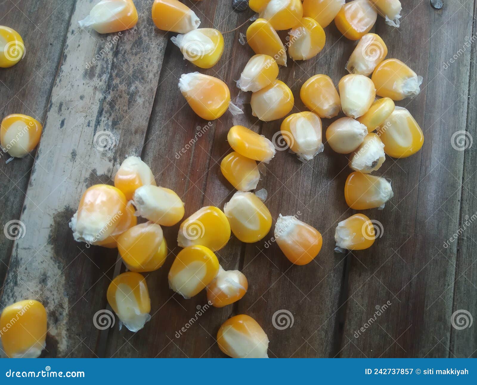 The Biggest Corn for Making Popcorn Stock Image - Image of corn ...