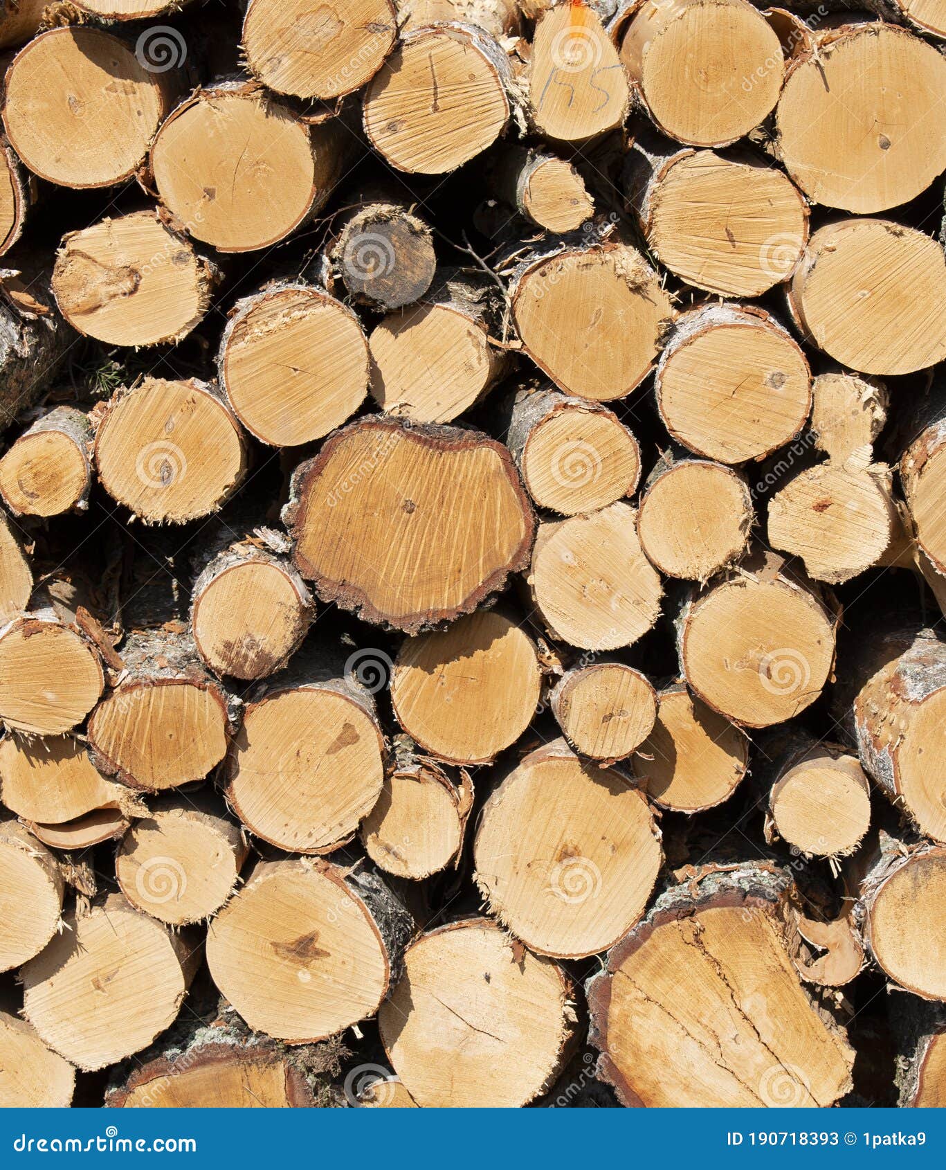 Pile of Cutted Wood in the Forest Stock Image - Image of pattern, pile ...