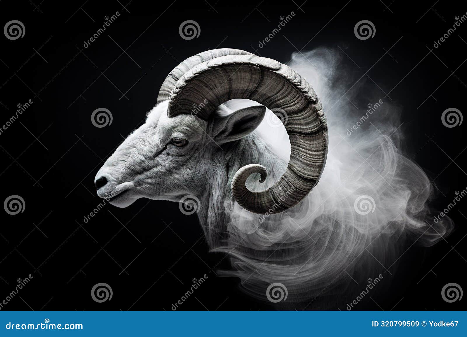The Bighorn Sheep Head with Smoke. Wildlife Animals Stock Illustration ...