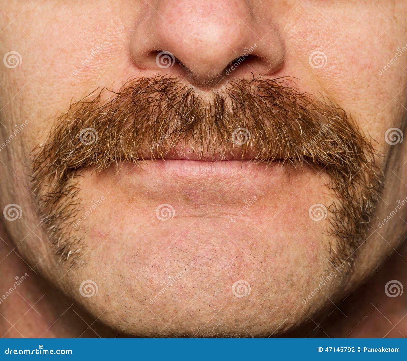 Bigode de Movember foto de stock. Imagem de bigode, cara - 47145792