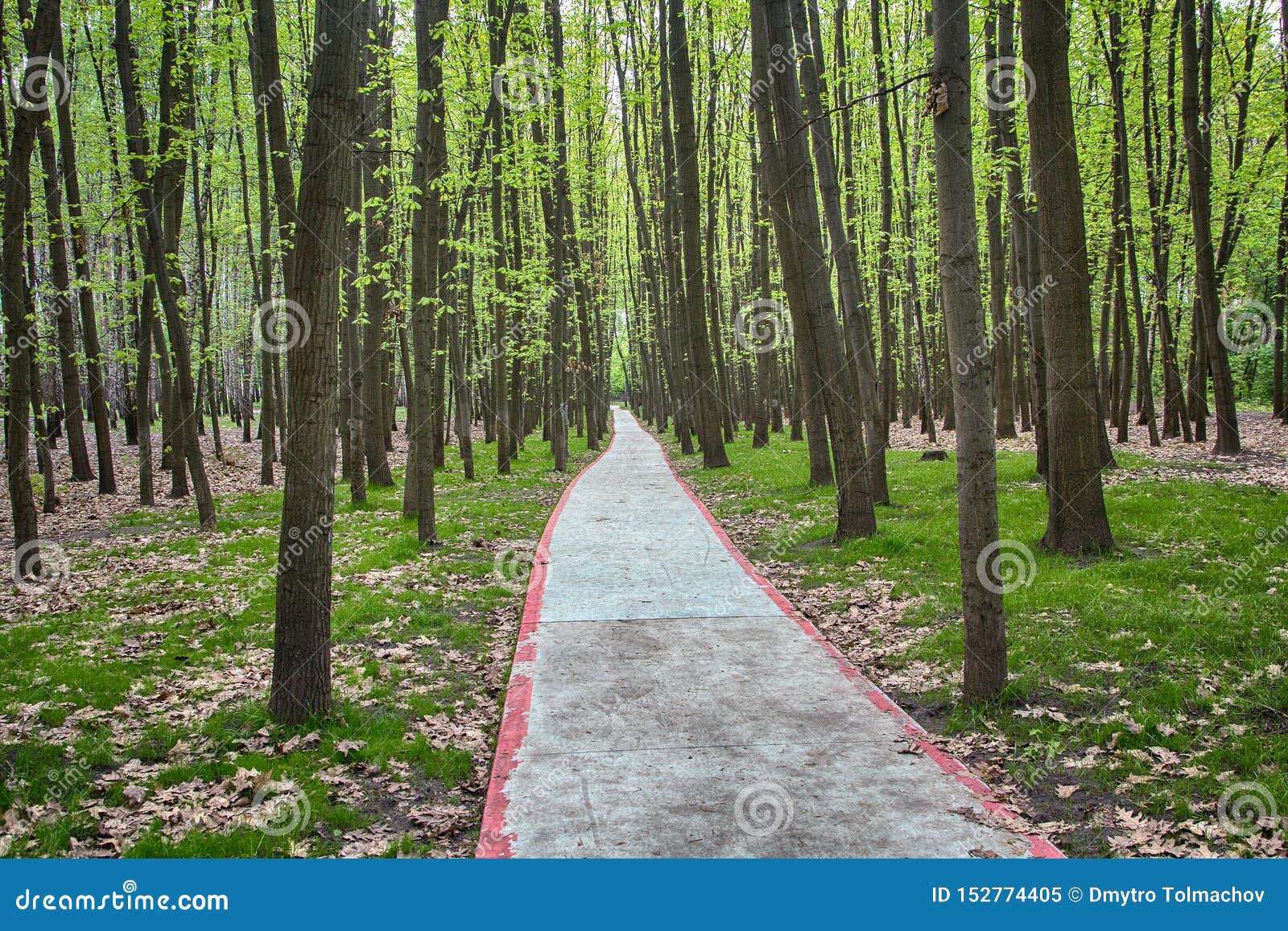 Biike Path Stock Photos - Free & Royalty-Free Stock Photos from Dreamstime