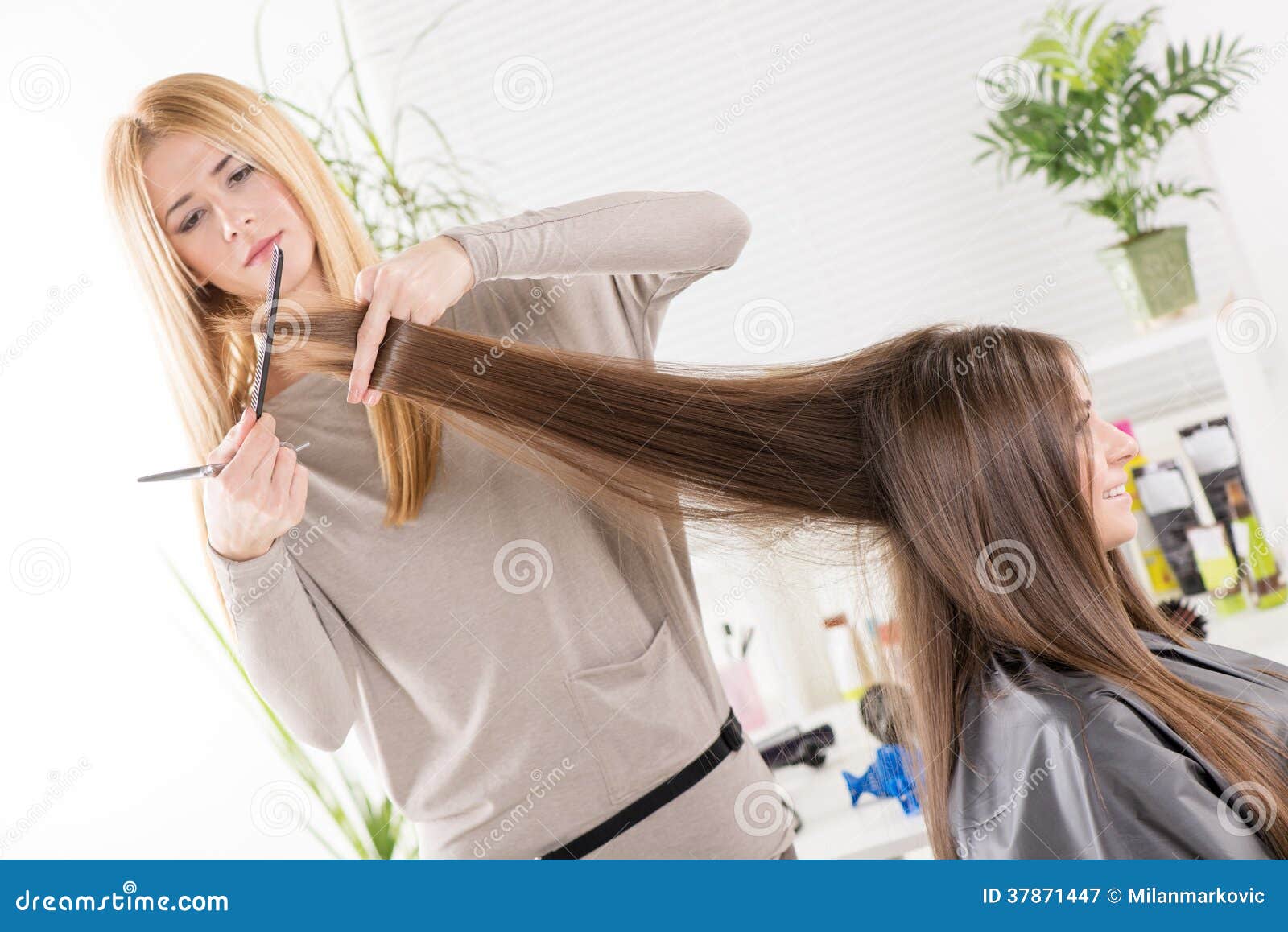 Bij de kapper. stock afbeelding. Image of snijden, schaar - 37871447