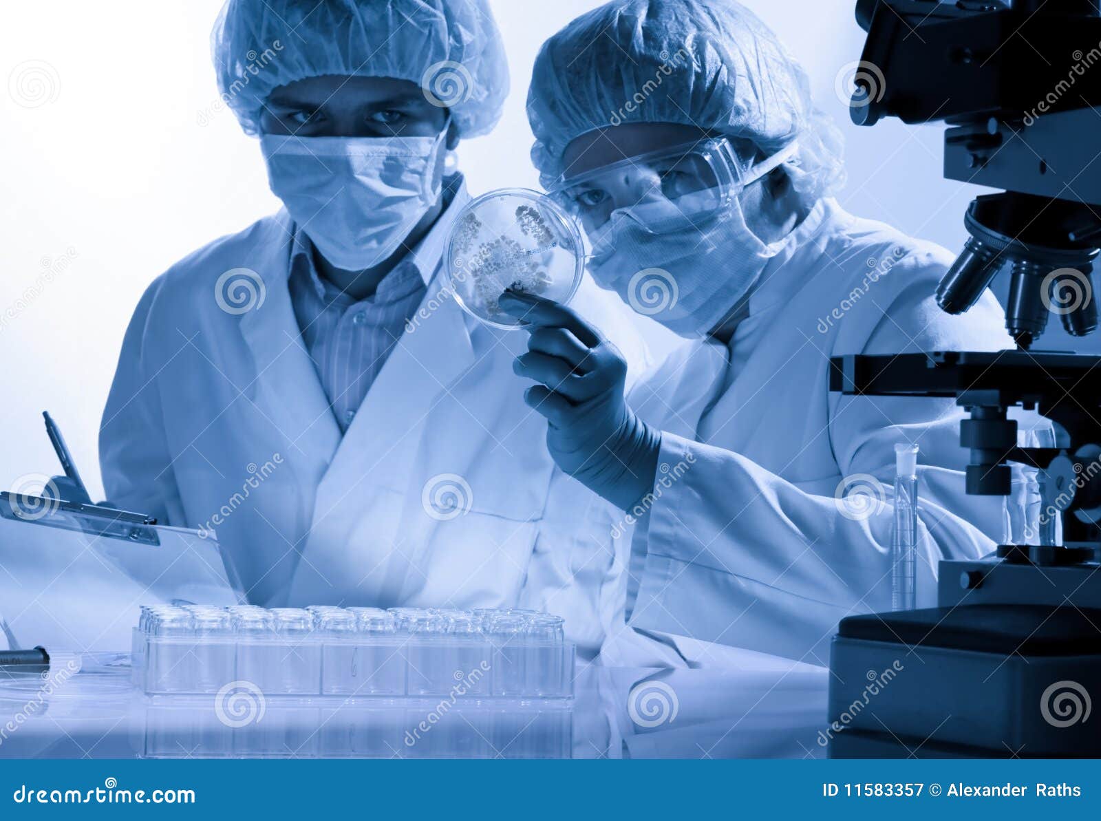 Bij het laboratorium stock afbeelding. Image of faculteit - 11583357