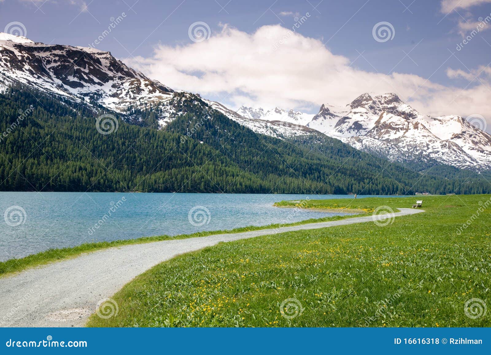 Bij Meer Silvaplana stock foto. Image of zwitserland - 16616318