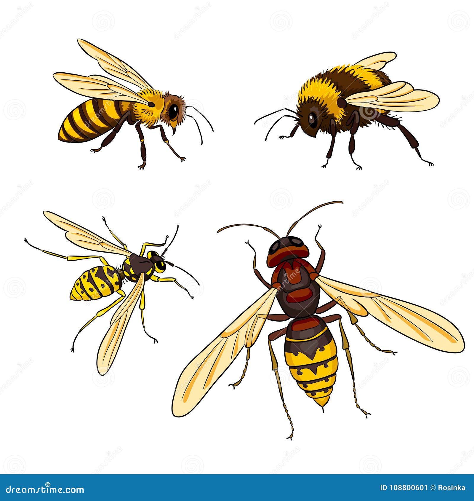 Bij, Wesp, Hommel, Horzel - Vectorillustratie Vector Illustratie ...
