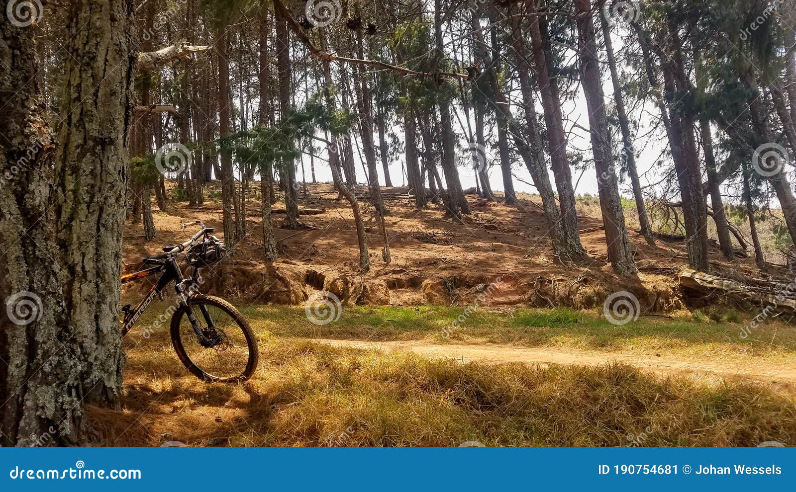 Bike against the tree stock image. Image of biking, mountain - 190754681