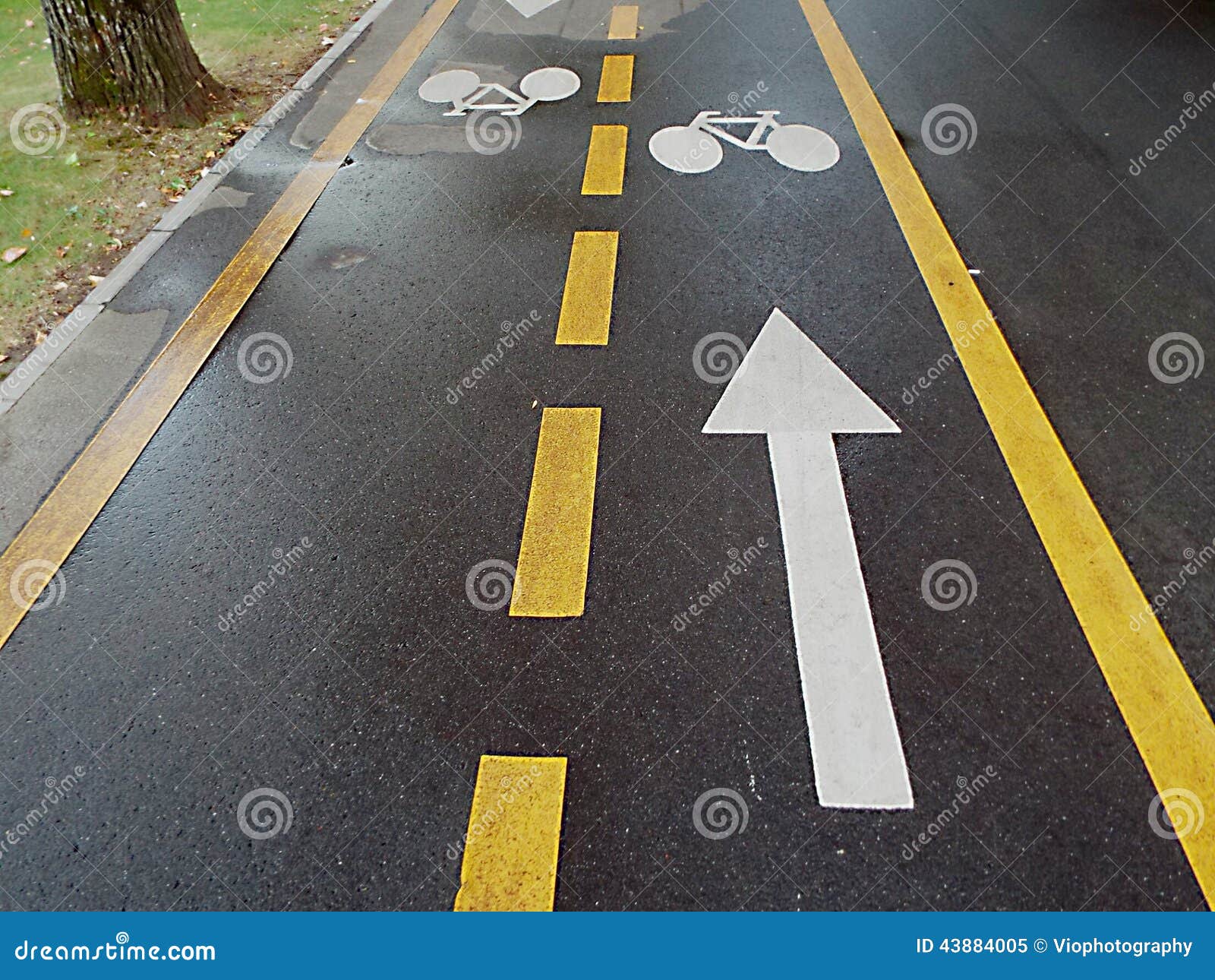 Bike and arrow stock image. Image of sign, symbol, street - 43884005