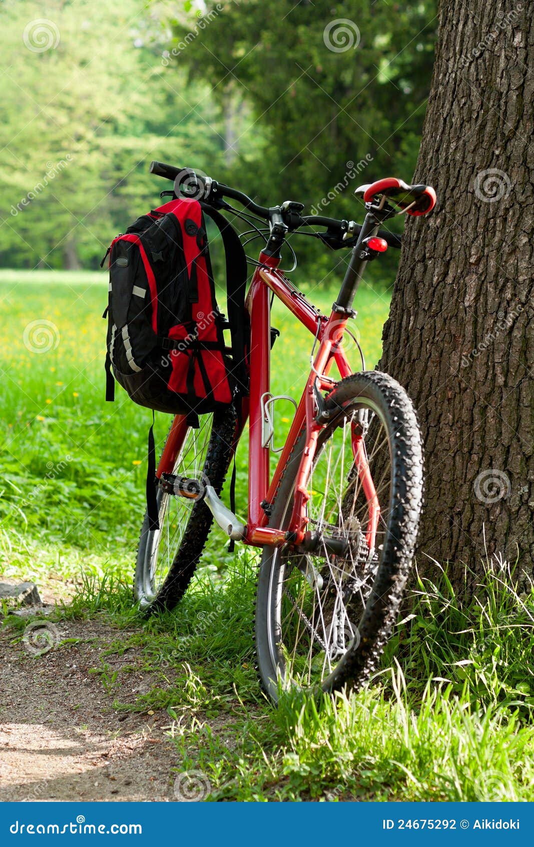 Bike and Backpack among the Green of Nature Stock Photo - Image of ...