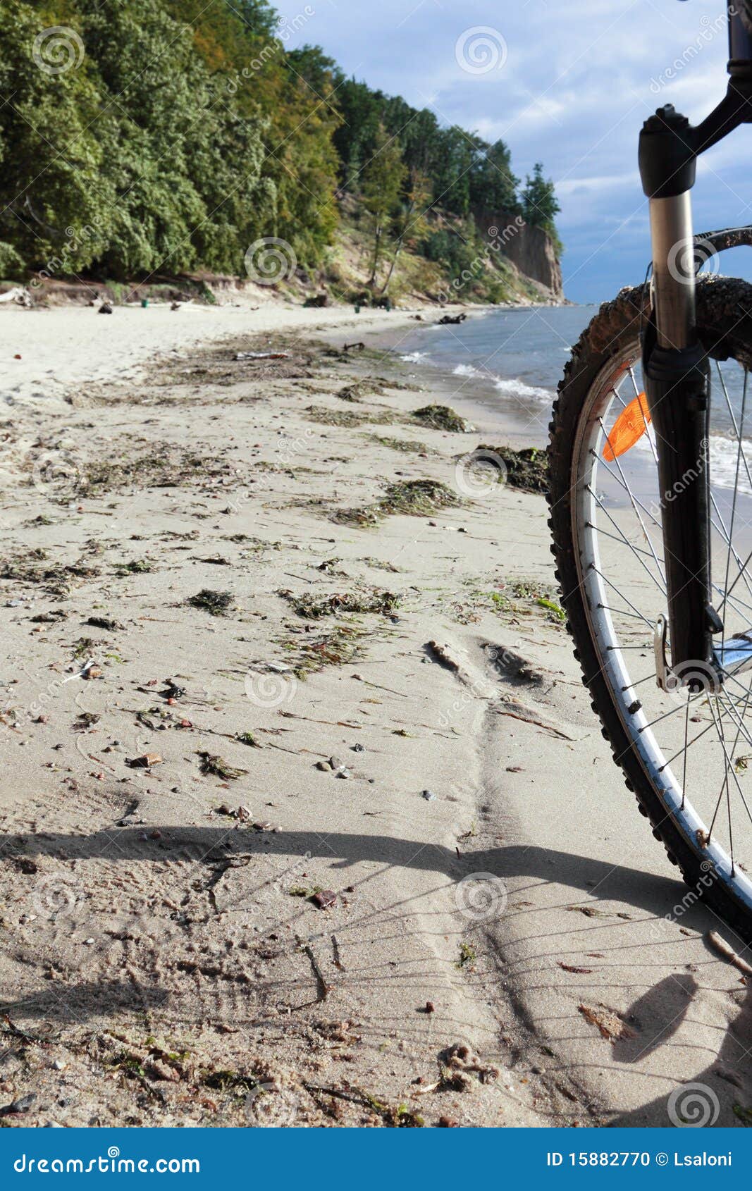 Bike on the beach stock photo. Image of horizon, sand - 15882770