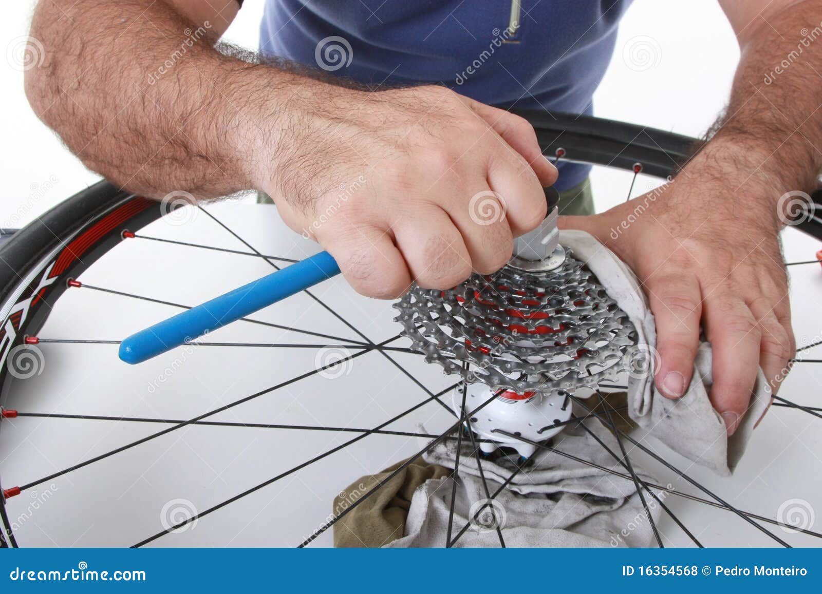 Bike care stock photo. Image of biking, arrange, cycle - 16354568
