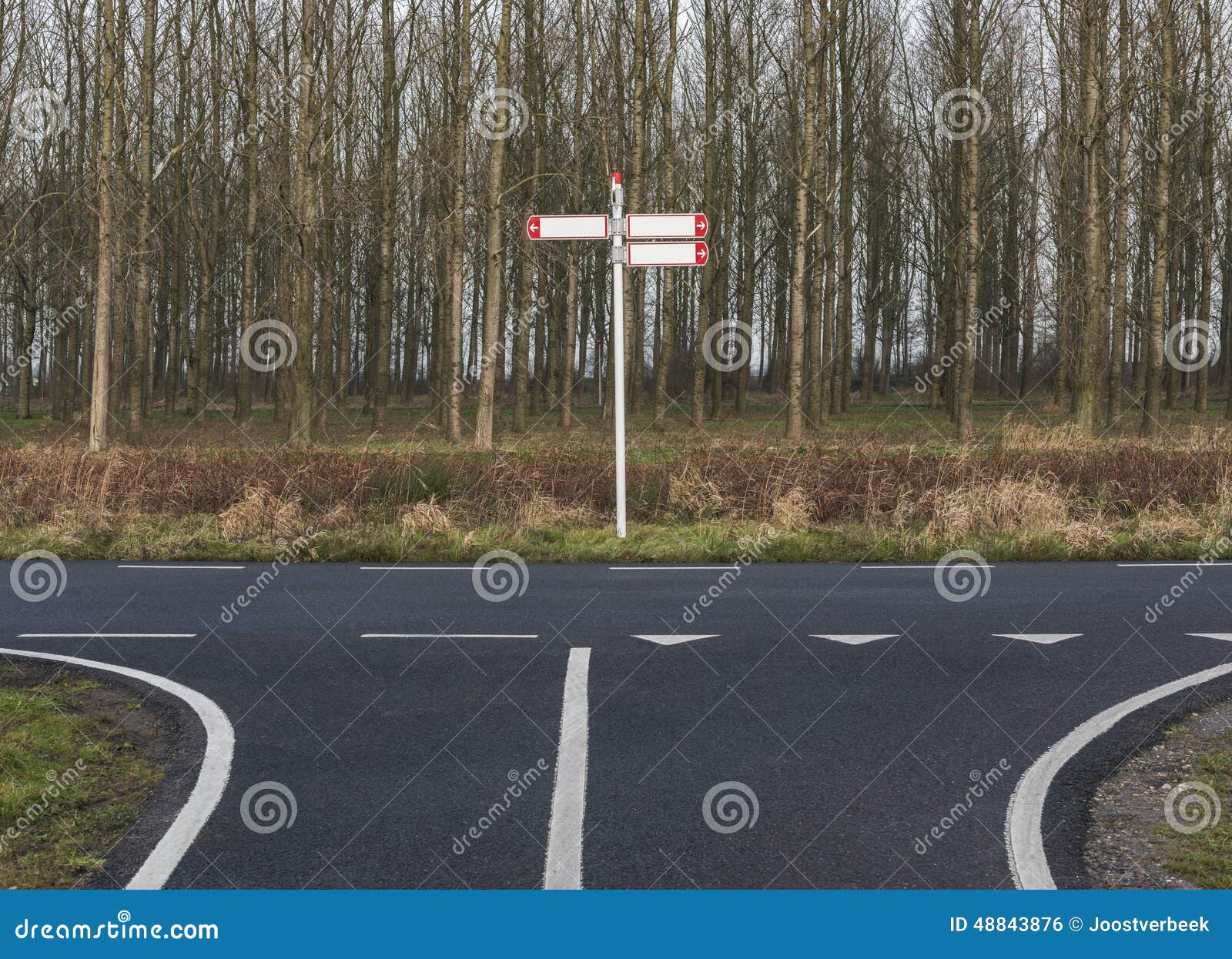 Bike crossing stock photo. Image of transportation, crossing - 48843876