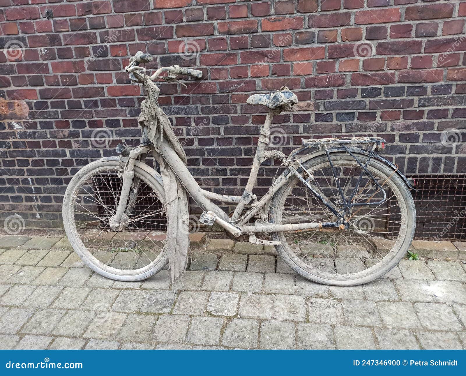 Bike with Dirty Slam from Water Stock Photo - Image of slam, bike ...