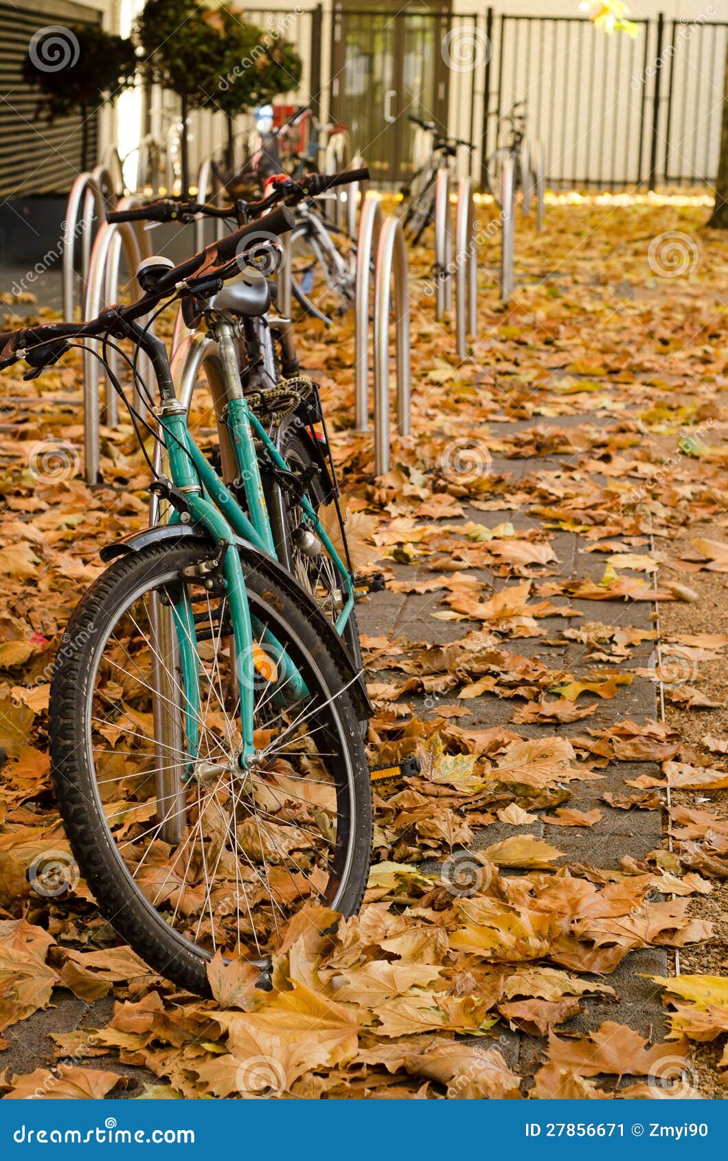 Bike with fall leaves stock image. Image of leaves, colors - 27856671