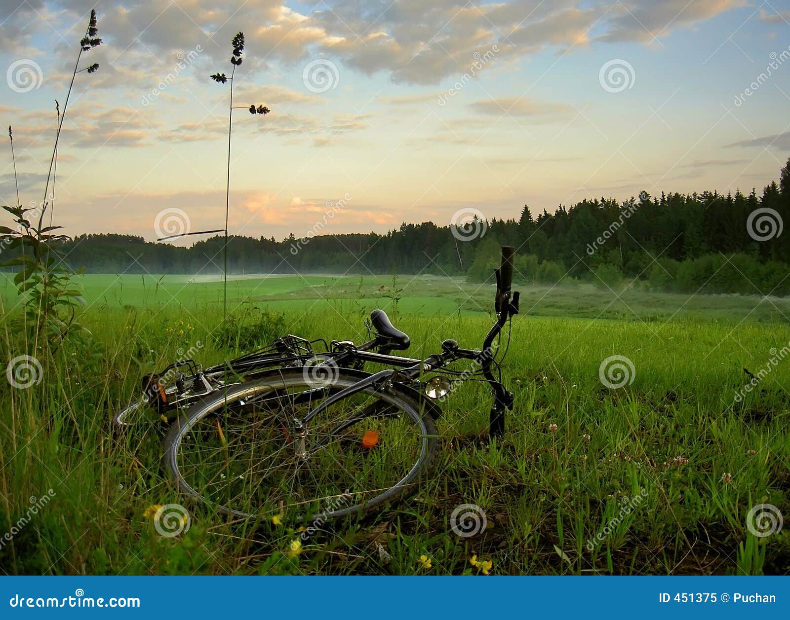 Bike on field stock image. Image of field, sport, travel - 451375