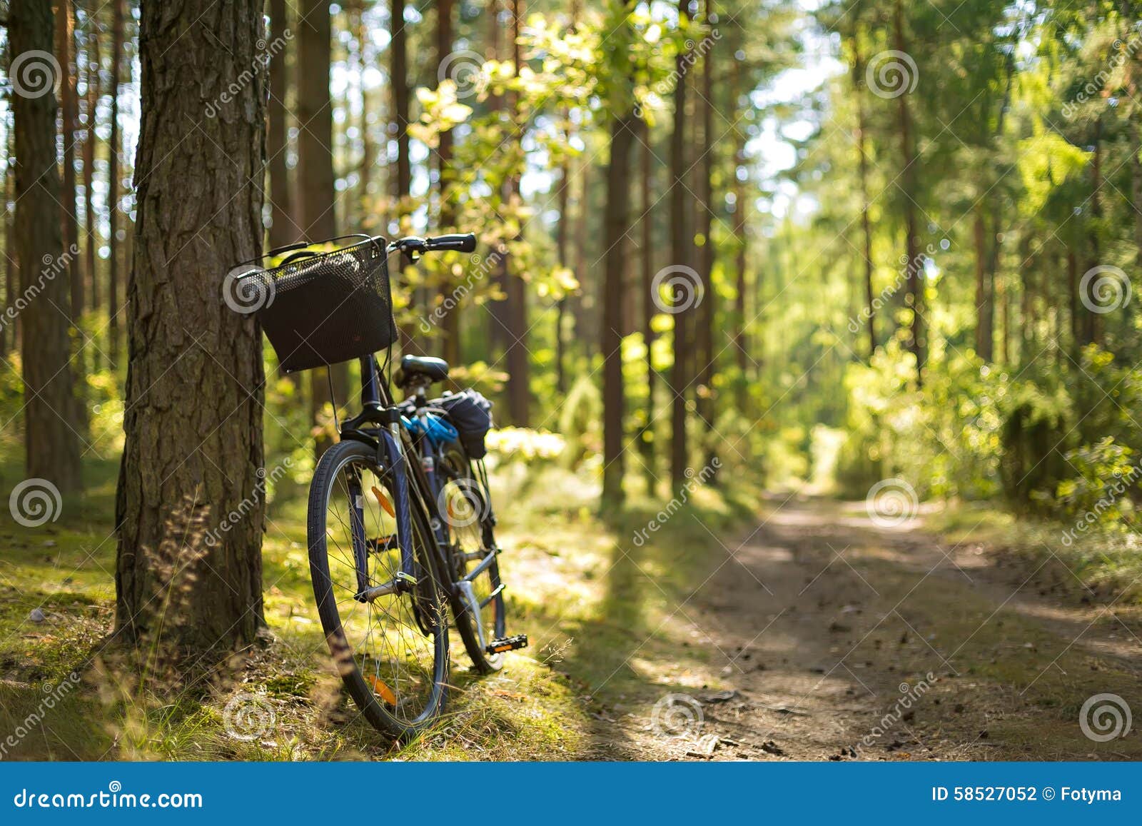 Bike in the forest stock photo. Image of summer, blur - 58527052