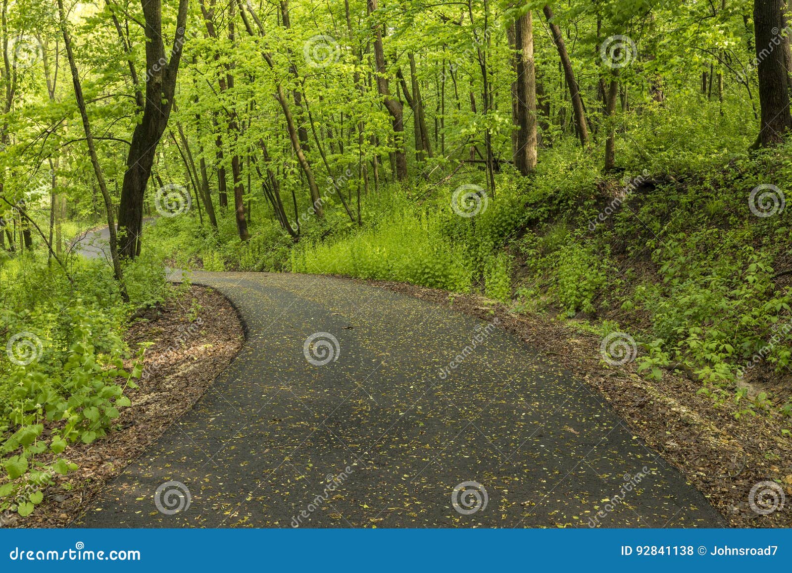Bike & Hiking Trail in Spring Stock Photo - Image of curve, hill: 92841138