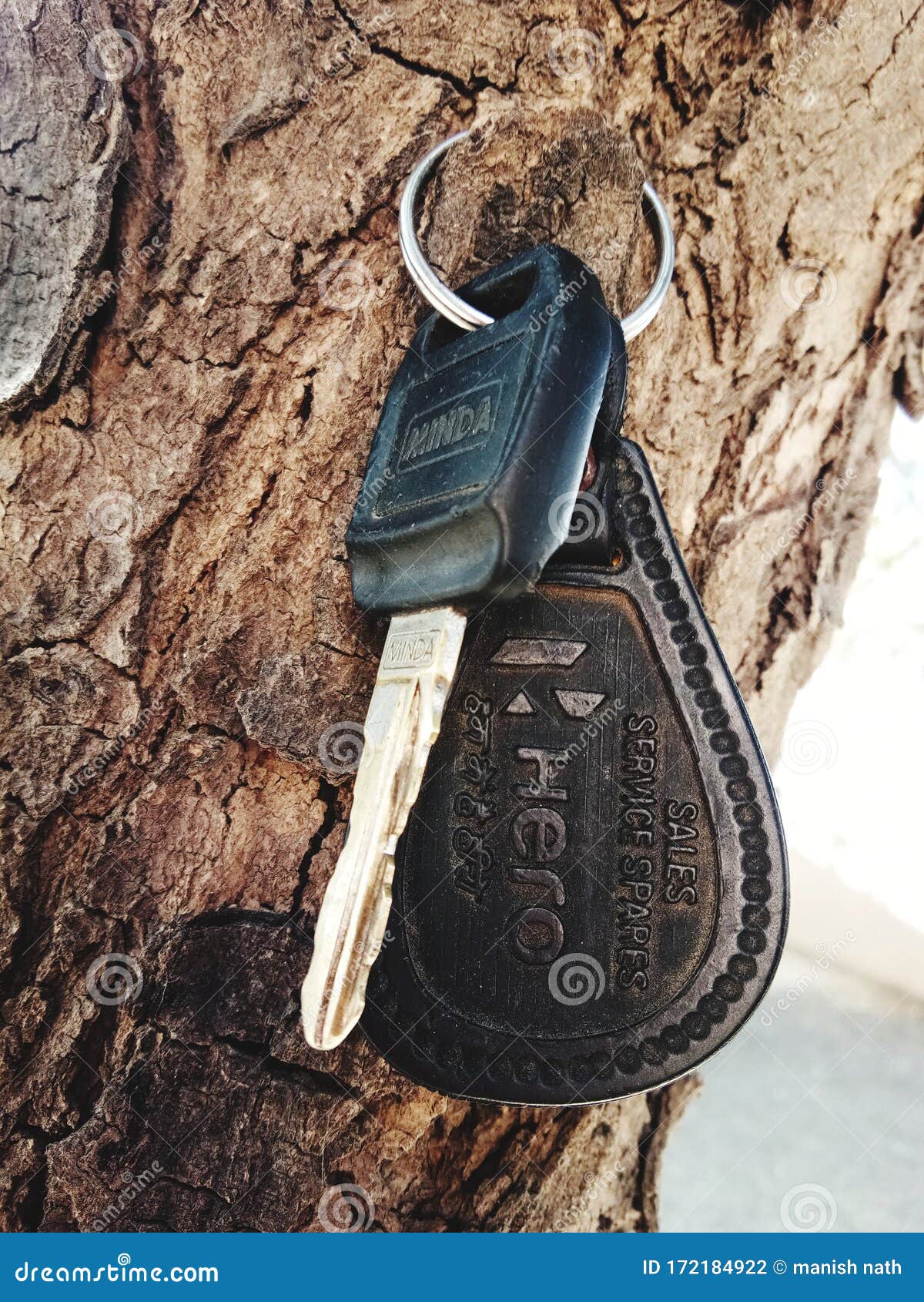Bike Key Hanging at Tree Hero Editorial Photography - Image of hanging ...